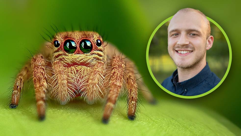 News-O-Matic | Real Jobs: Spider Expert