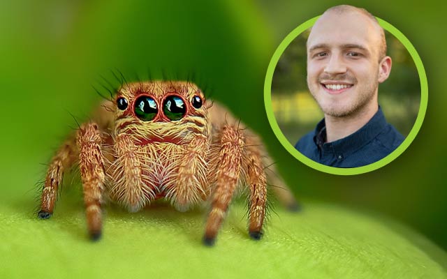 News-O-Matic | Real Jobs: Spider Expert