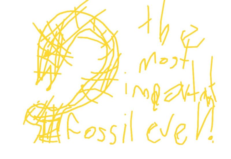 News-O-Matic | News Room