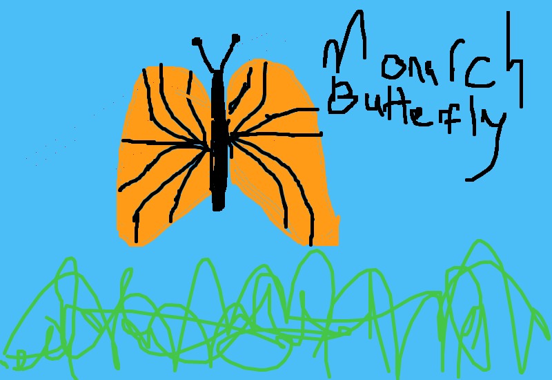 News-O-Matic | News Room